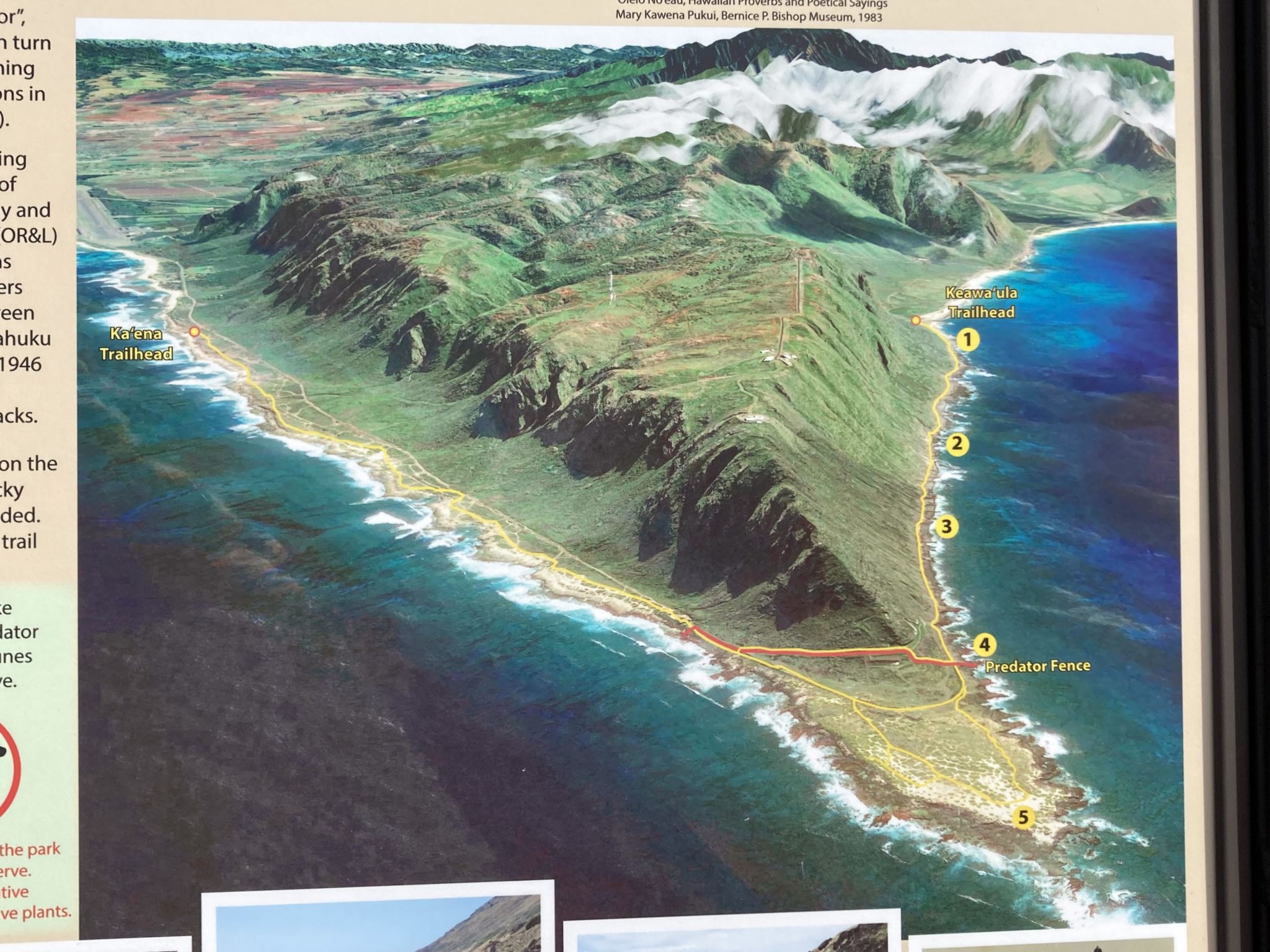 6月9日Ka`ena point pillbox＠オアフ島